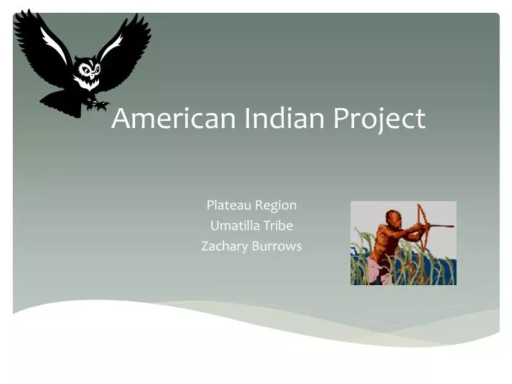 PPT - American Indian Project PowerPoint Presentation, free download ...