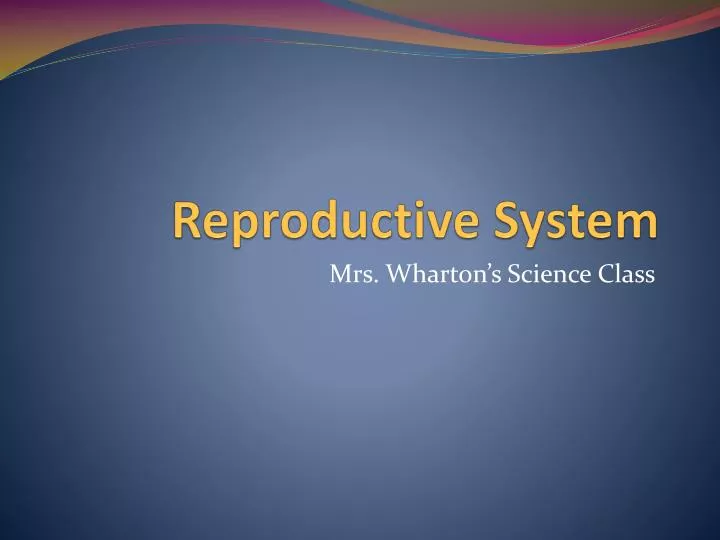 PPT - Reproductive System PowerPoint Presentation, free download - ID ...