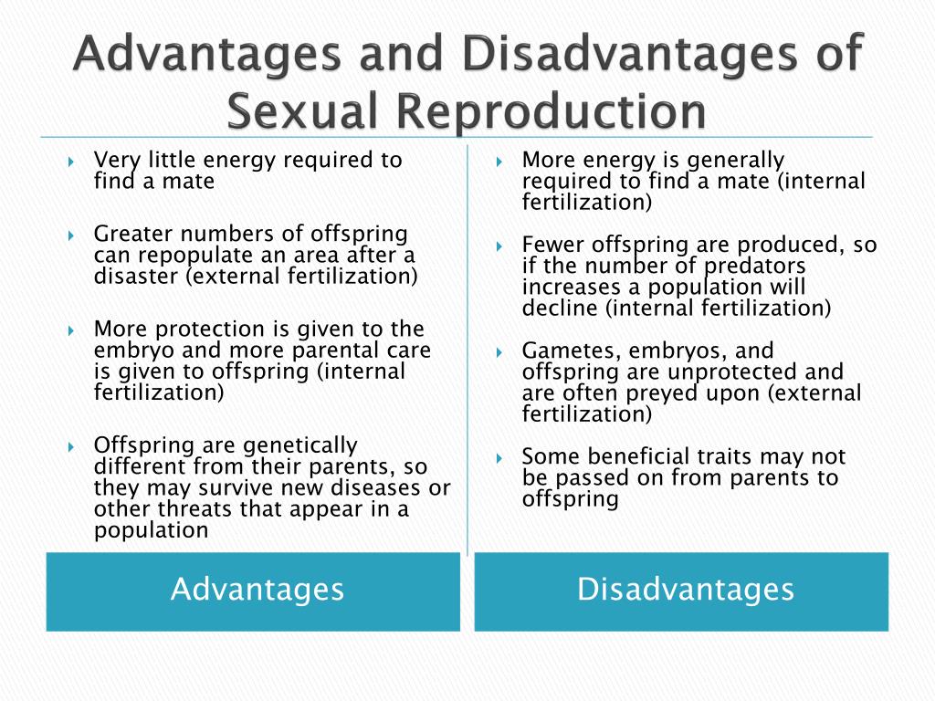 Ppt Sexual Reproduction Powerpoint Presentation Free Download Id