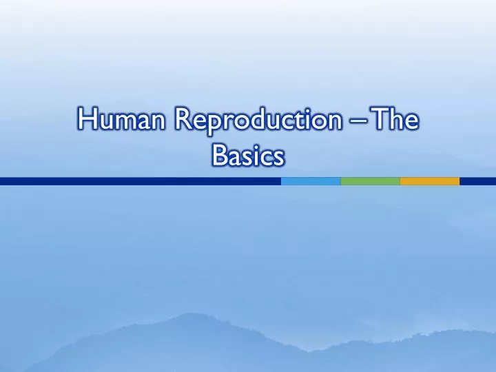 PPT - Human Reproduction – The Basics PowerPoint Presentation, free ...
