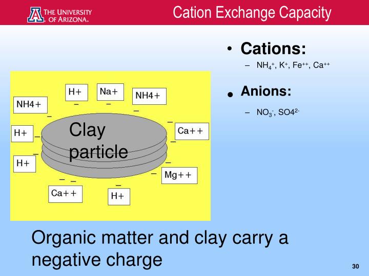PPT - Soil and Water Kelly Young UA Cooperative Extension PowerPoint ...