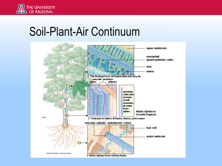 PPT - Soil and Water Kelly Young UA Cooperative Extension PowerPoint ...