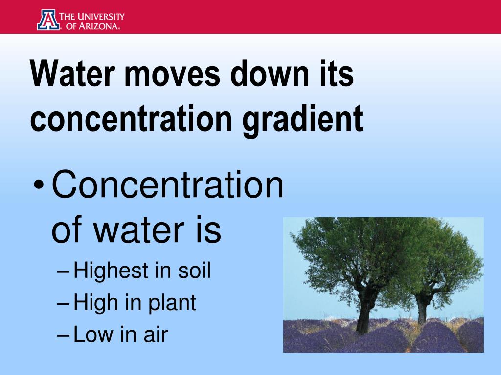 PPT - Soil and Water Kelly Young UA Cooperative Extension PowerPoint ...