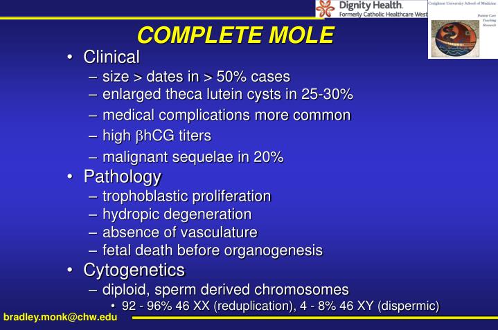 PPT - Bradley J. Monk, M.D. Professor and Director Division of ...