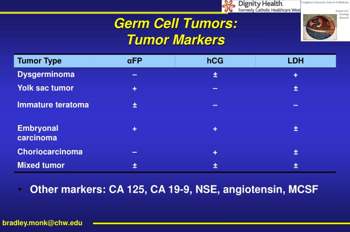 PPT - Bradley J. Monk, M.D. Professor and Director Division of ...