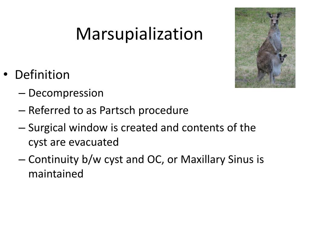 PPT - Surgical Management of Oral Pathological Lesions PowerPoint ...