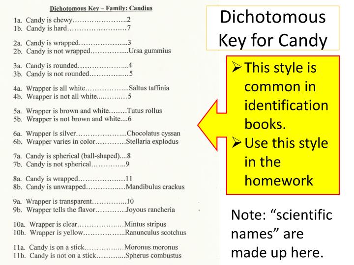PPT - Classification of Organisms PowerPoint Presentation - ID:2178873