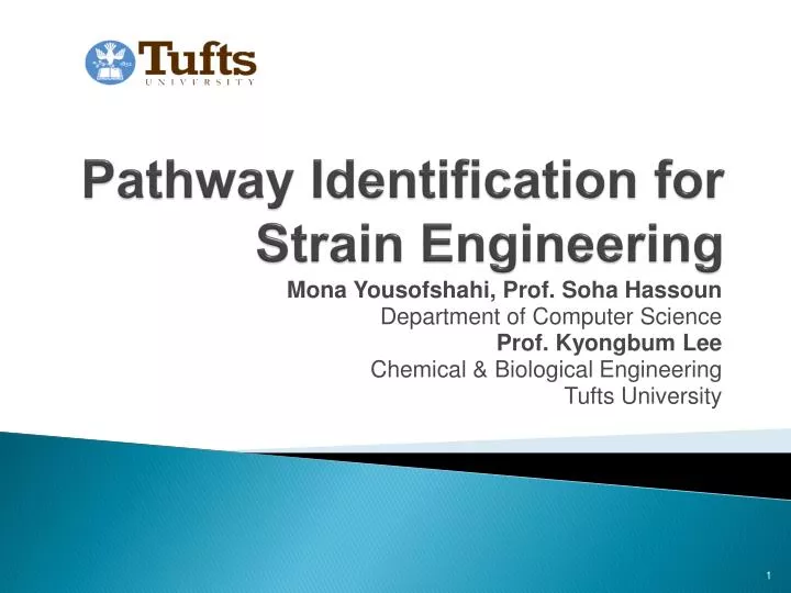 PPT - Pathway Identification for Strain Engineering PowerPoint ...