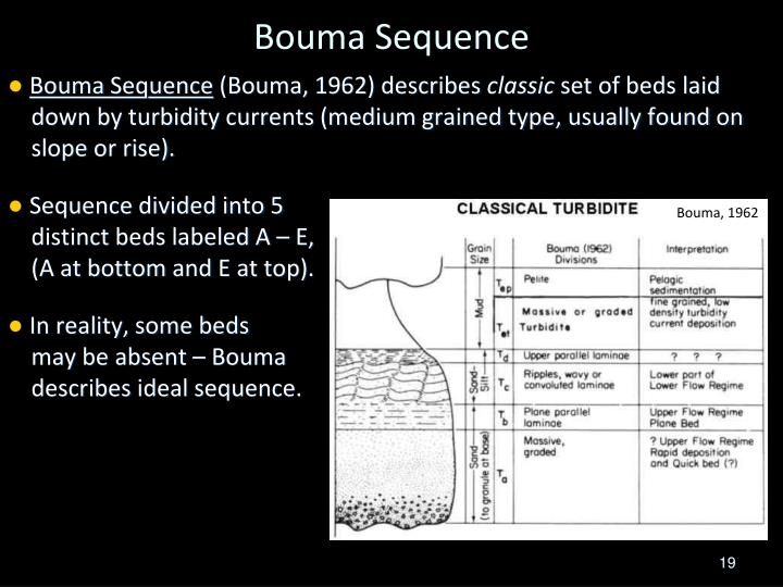 PPT - Facies: Turbidites PowerPoint Presentation - ID:2179847