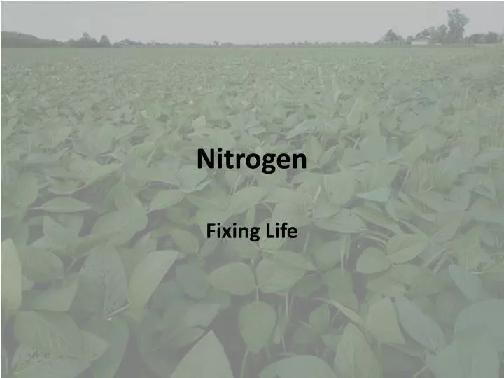 PPT - Nitrogen PowerPoint Presentation, free download - ID:2180175