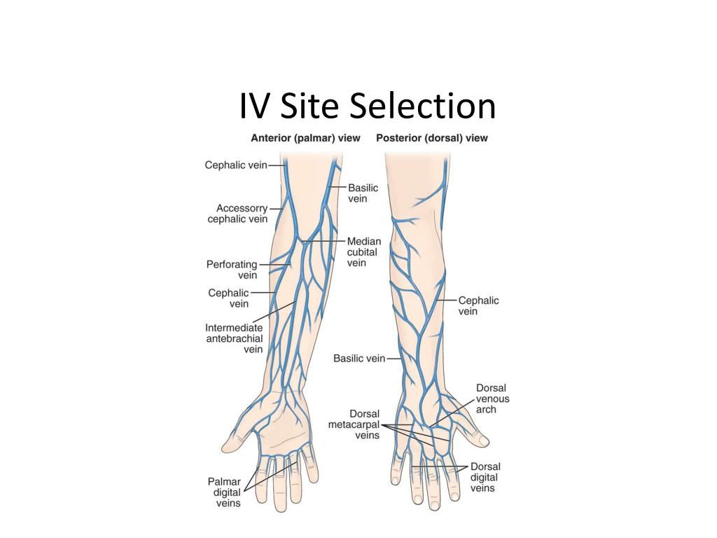 PPT - Nursing Care of Clients with Altered Fluid, Electrolyte, and Acid ...