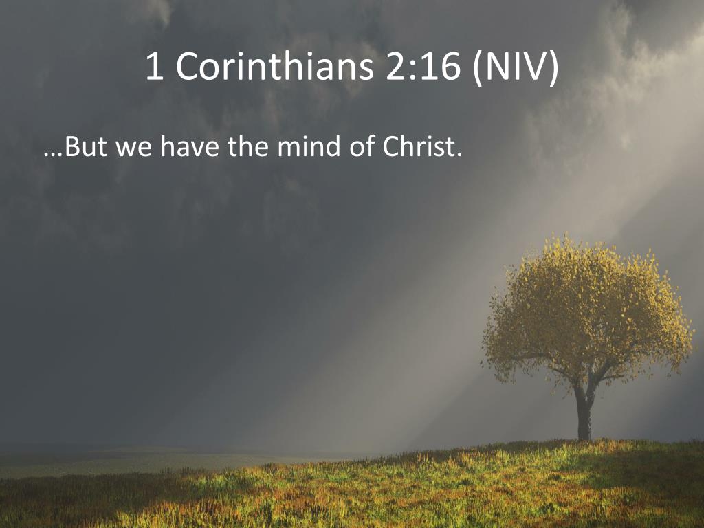PPT - A Firm Faith for Tough Times PowerPoint Presentation, free ...