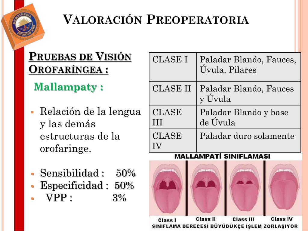 PPT - ANESTESIA PARA CIRUGIA MAYOR DE CUELLO PowerPoint Presentation ...