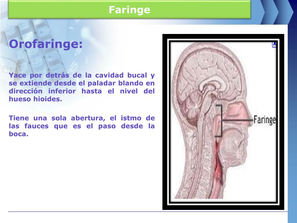 PPT - UNIVERSIDAD TECMILENIO DEL SISTEMA TECNOLÓGICO DE MONTERREY ...