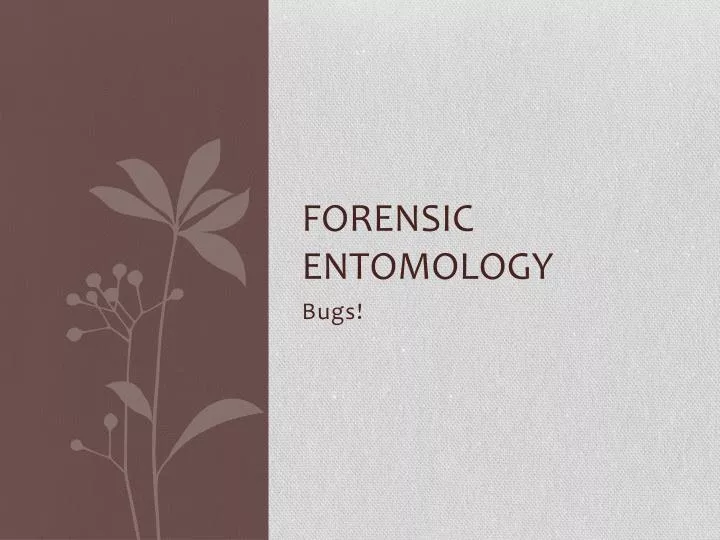 PPT - Forensic entomology PowerPoint Presentation, free download - ID ...