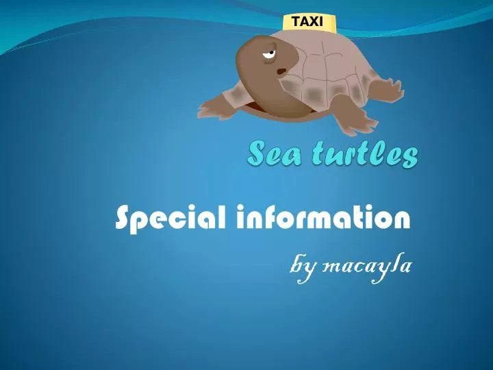 PPT - Sea turtles PowerPoint Presentation, free download - ID:2181452