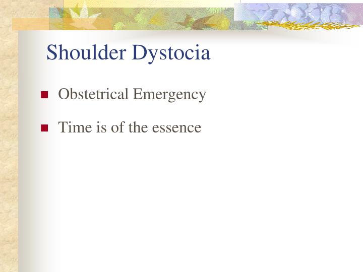 PPT - Second Stage Labor Management PowerPoint Presentation - ID:2181562