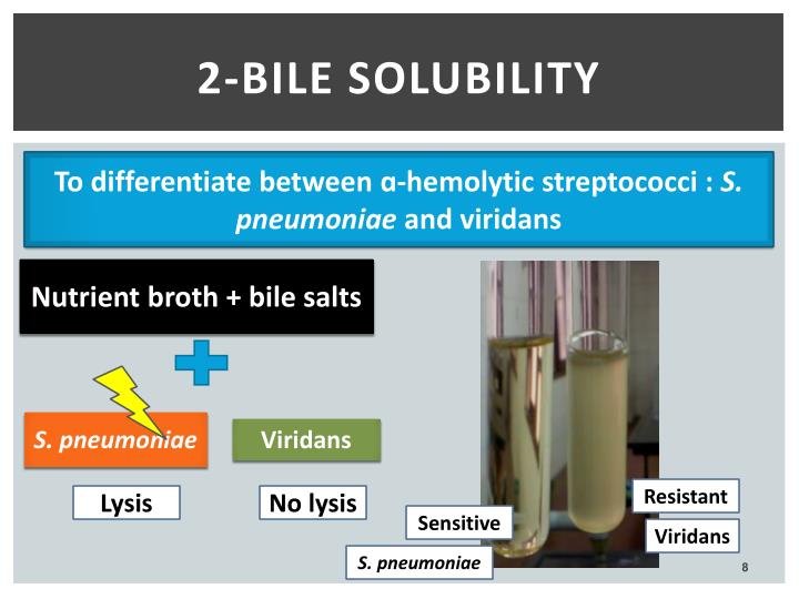 PPT - Practical Medical Microbiology PowerPoint Presentation - ID:2181587