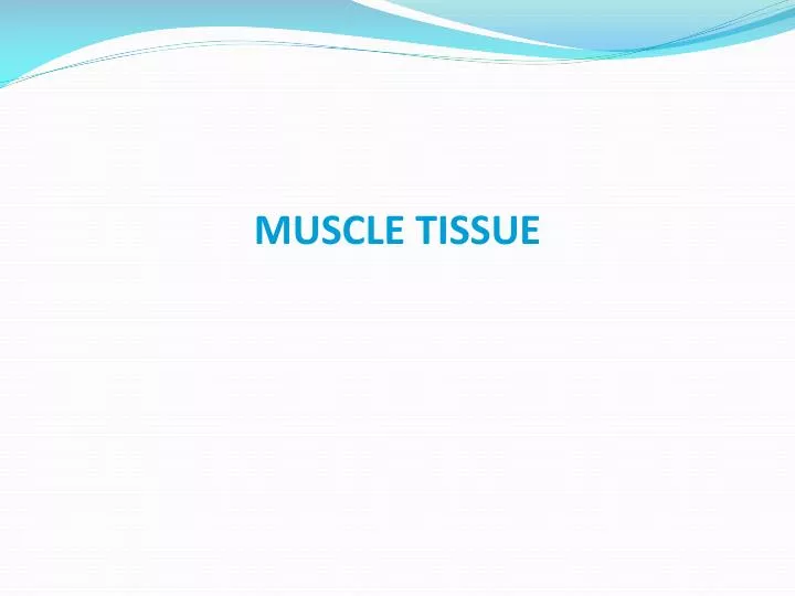 PPT - MUSCLE TISSUE PowerPoint Presentation, free download - ID:2181798