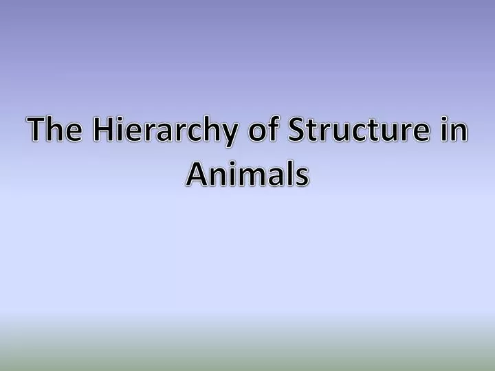 PPT - The Hierarchy of Structure in Animals PowerPoint Presentation ...