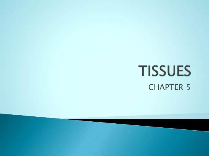 PPT - TISSUES PowerPoint Presentation, free download - ID:2182121