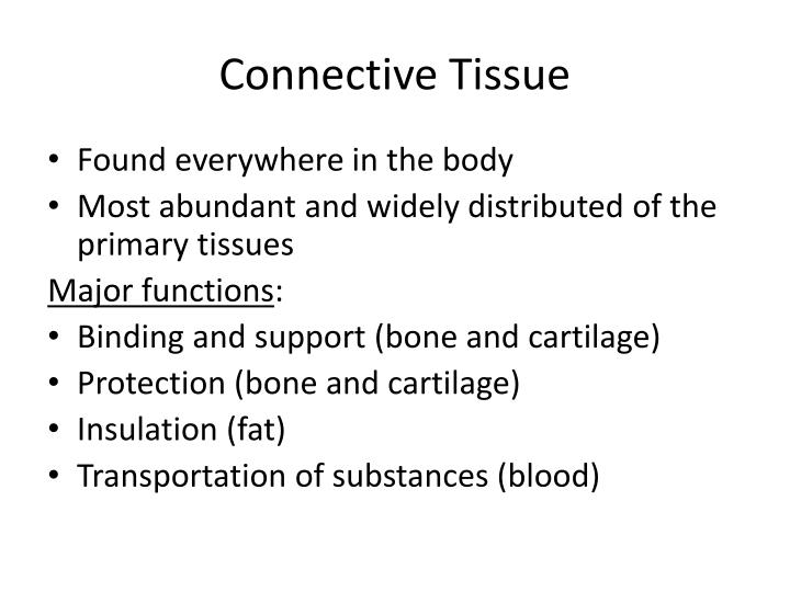 PPT - Connective Tissues PowerPoint Presentation - ID:2182223