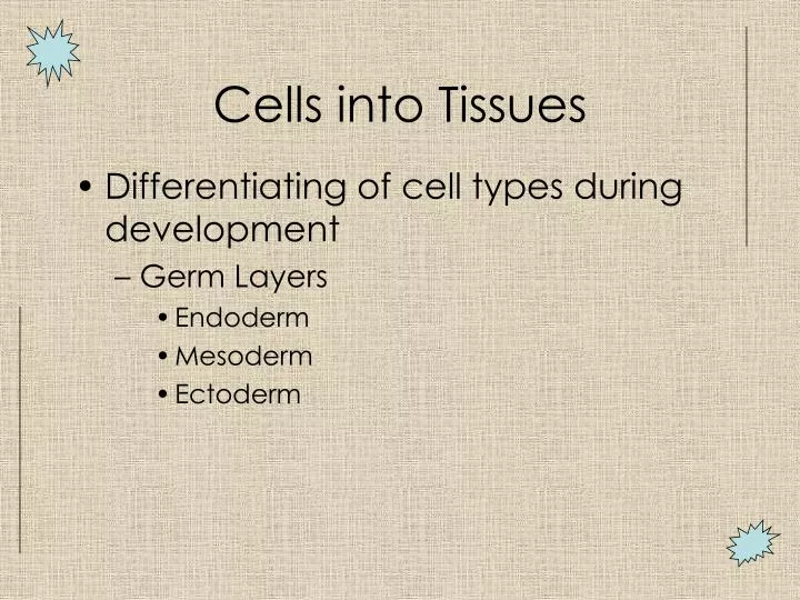 PPT - Cells into Tissues PowerPoint Presentation, free download - ID ...