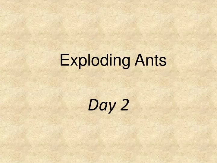 PPT - Exploding Ants PowerPoint Presentation, free download - ID:2182826