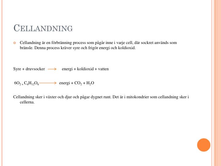 PPT - Fotosyntes PowerPoint Presentation - ID:2183055