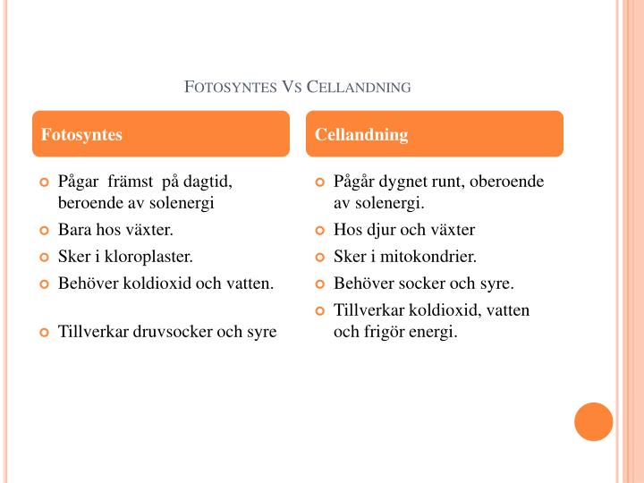 PPT - Fotosyntes PowerPoint Presentation - ID:2183055