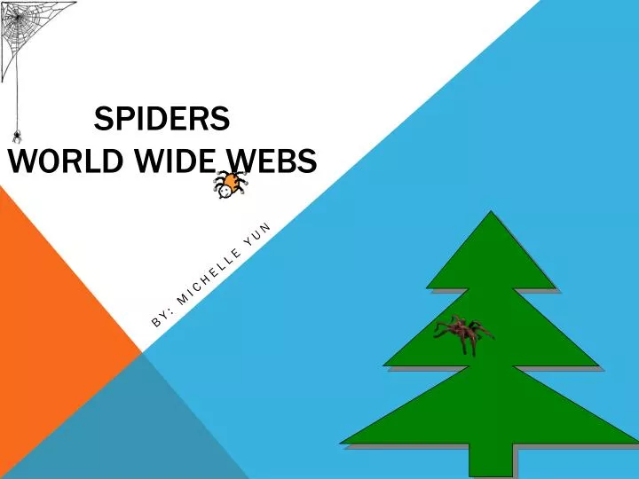PPT - Spiders World wide webs PowerPoint Presentation, free download ...