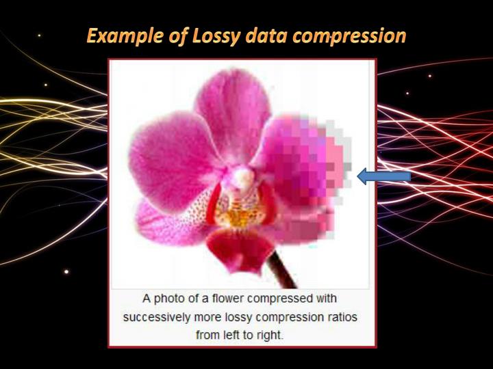 PPT - United International University PowerPoint Presentation - ID:2183250