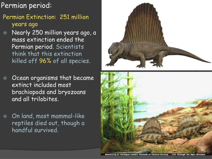 PPT - Earth Science 13.2B Paleozoic Era : Life explodes PowerPoint ...