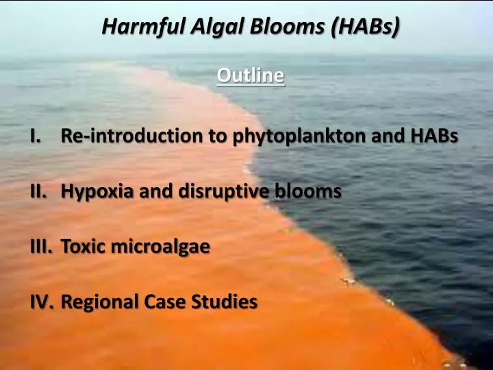 PPT - Harmful Algal Blooms (HABs) PowerPoint Presentation, free ...