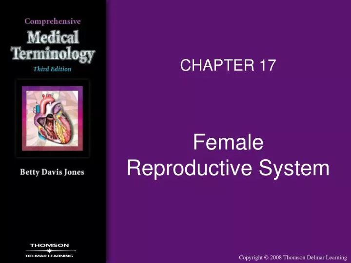 PPT - Female Reproductive System PowerPoint Presentation, free download ...