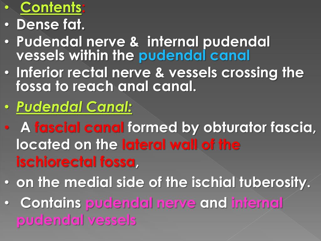 PPT - Urogenital triangle in female + Perineal pouches PowerPoint ...