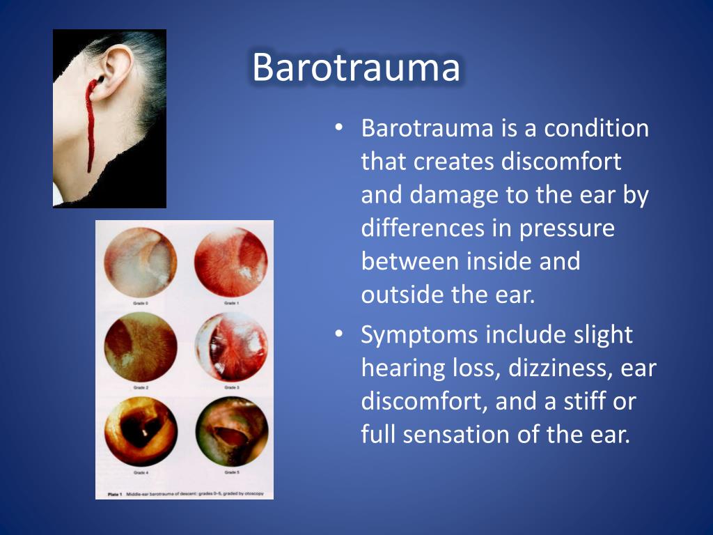 PPT - Emily Maginnis Michelle Amaya Autumn Dahlgren Tiffany Lam Leyli ...