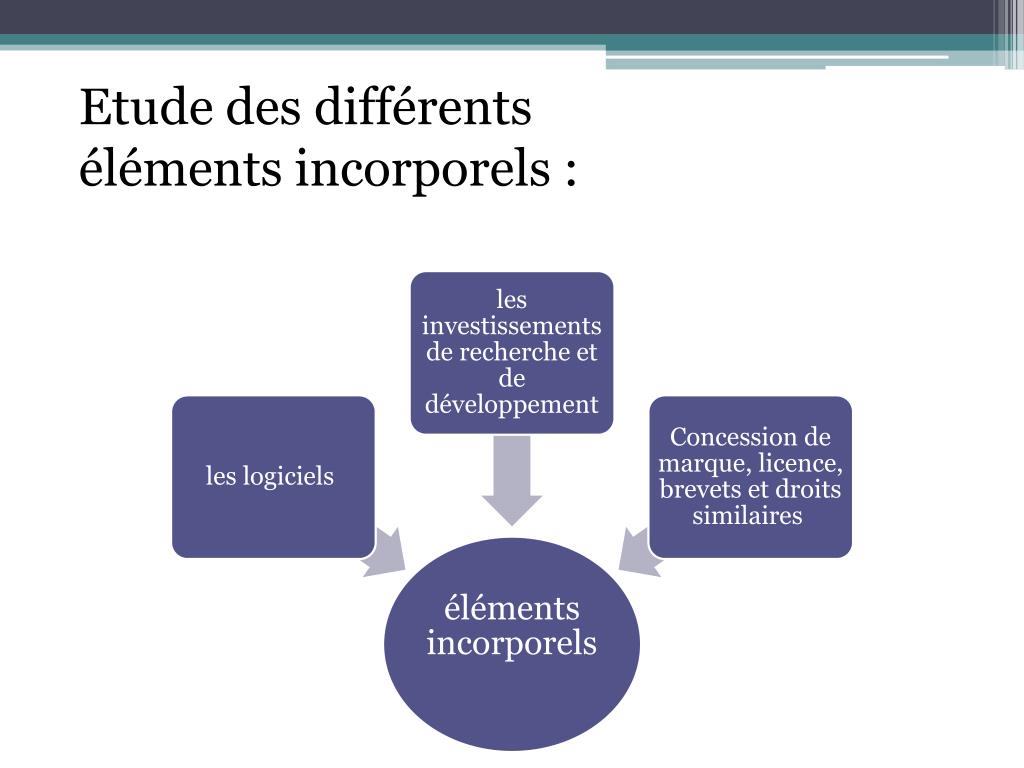 PPT - Les immobilisations corporelles et incorporelles PowerPoint ...