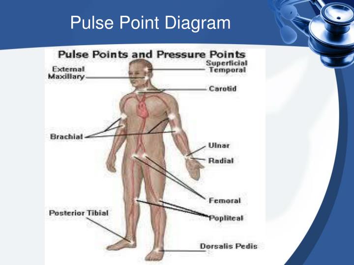 PPT - TPR PowerPoint Presentation - ID:2185165