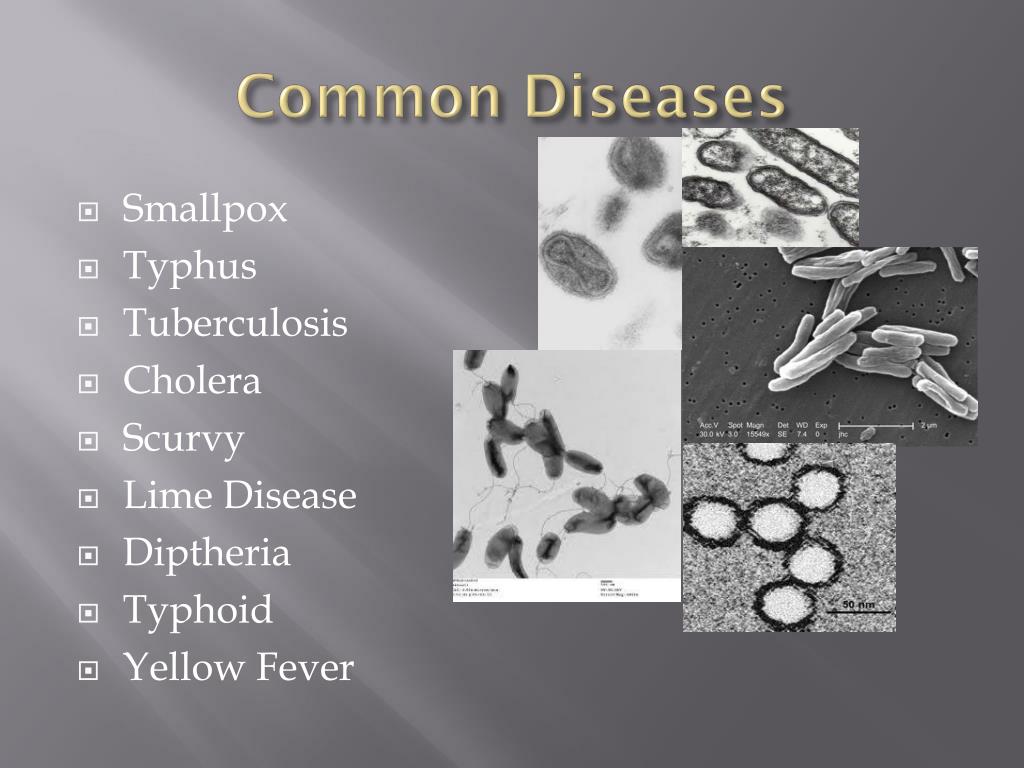 PPT - Victorian Era Medicine & Diseases PowerPoint Presentation - ID ...