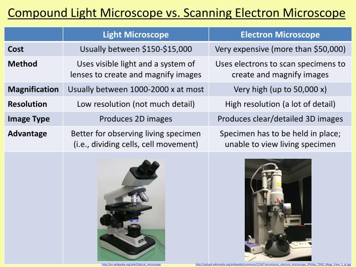 Differences between Light Microscope and Electron Microscope Differences between Light Microscope and Electron Microscope