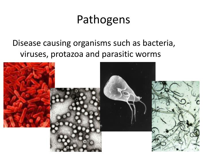 PPT - What types of pollution exist in our water? PowerPoint ...