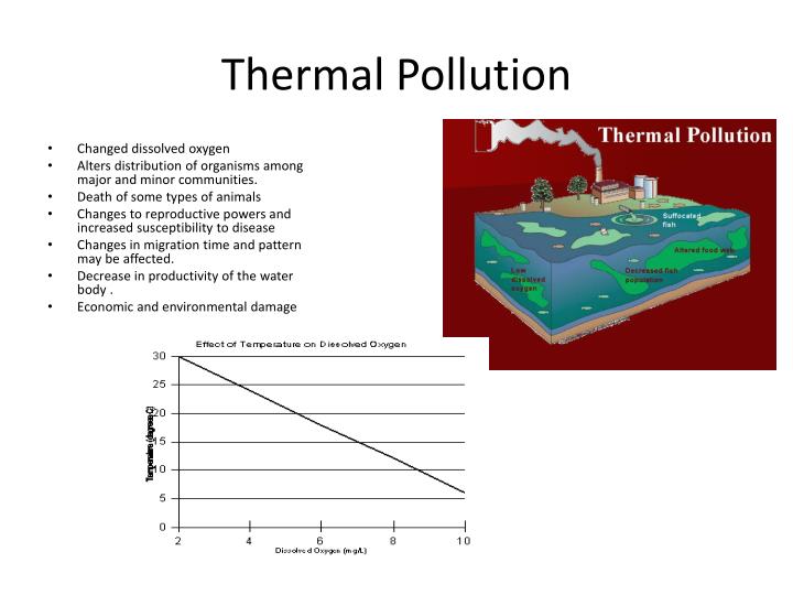 PPT - What types of pollution exist in our water? PowerPoint ...
