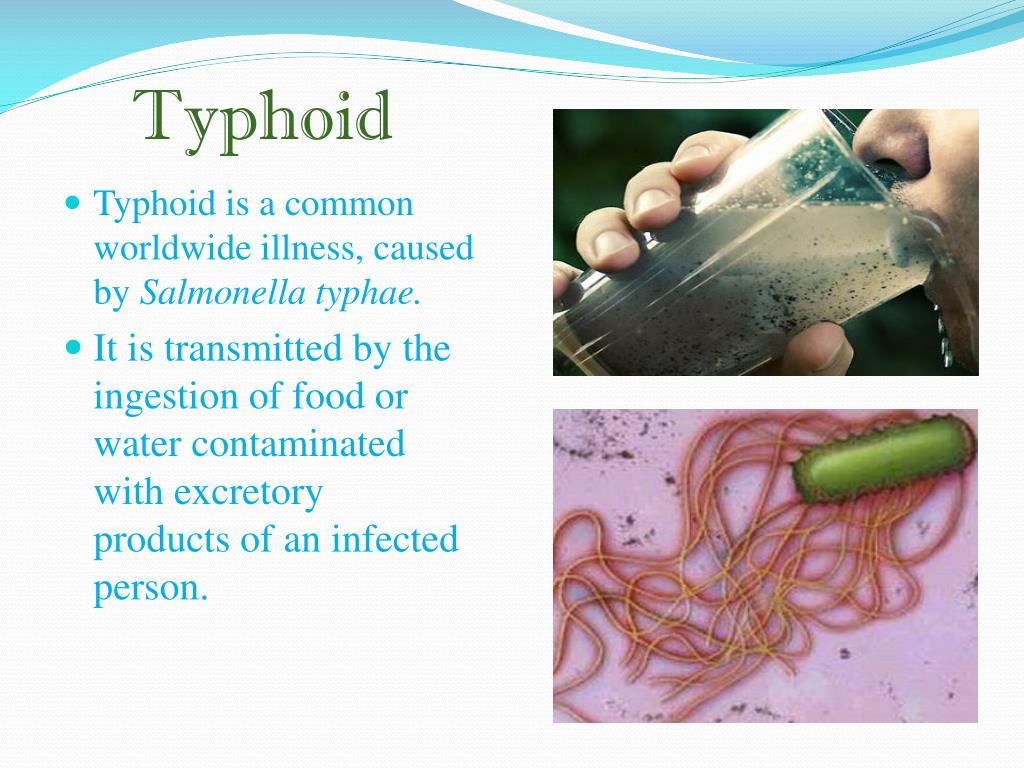 PPT - HUMAN AND SOCIAL BIOLOGY PowerPoint Presentation, free download ...