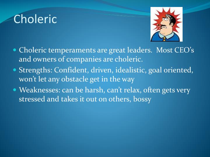 PPT - Temperaments PowerPoint Presentation - ID:2186574