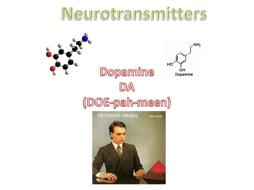 PPT - Neurotransmitters Researchers have identified over 75 chemical ...