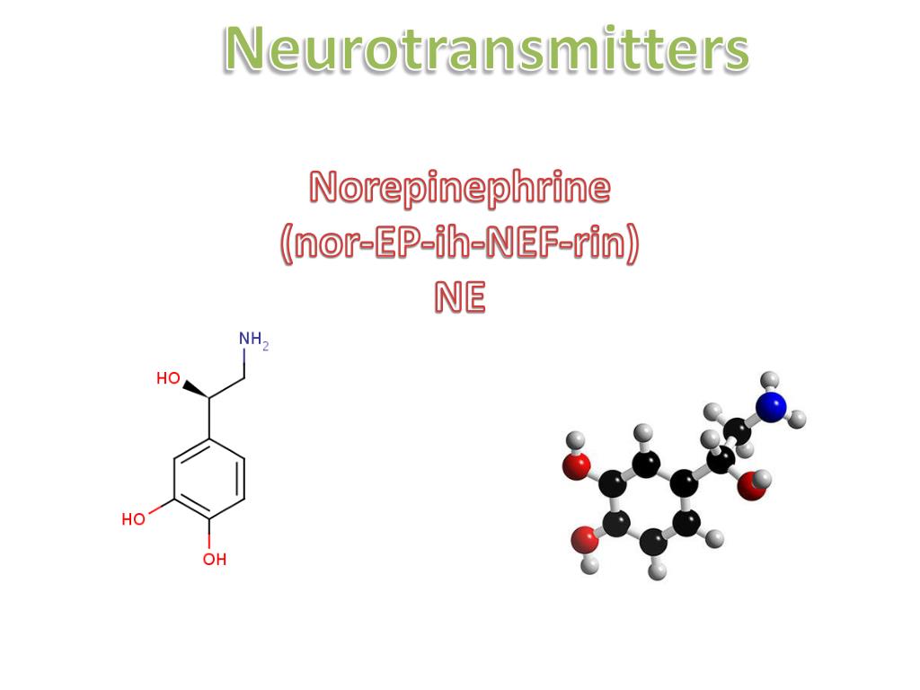 PPT - Neurotransmitters Researchers have identified over 75 chemical ...