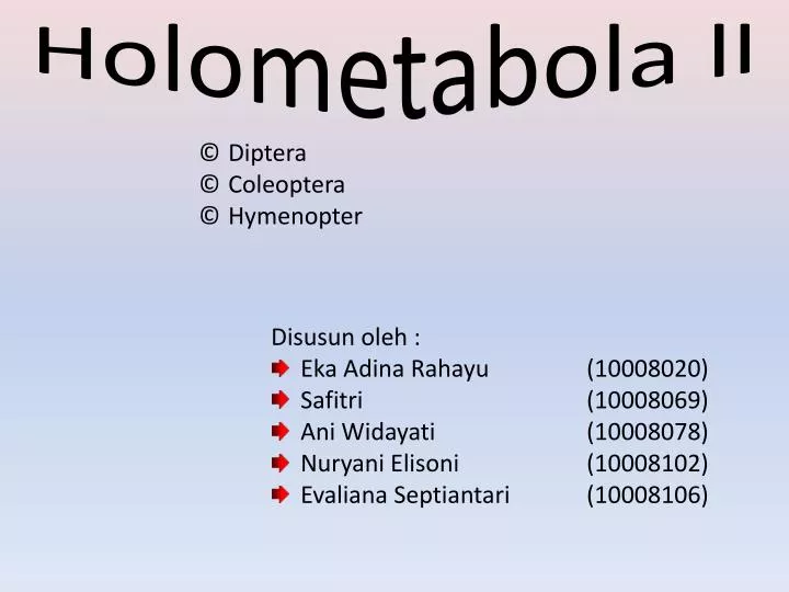 PPT - Holometabola ll PowerPoint Presentation, free download - ID:2187591