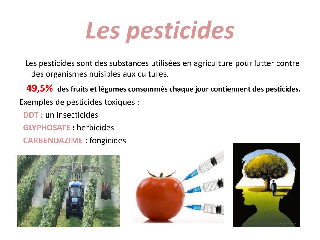 PPT - Introduction PowerPoint Presentation, free download - ID:2187667