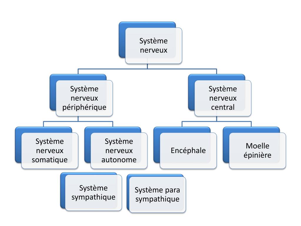 PPT - Introduction PowerPoint Presentation, free download - ID:2187667